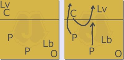 Sistema 5x1 Ilustrado - Teoria e Prática